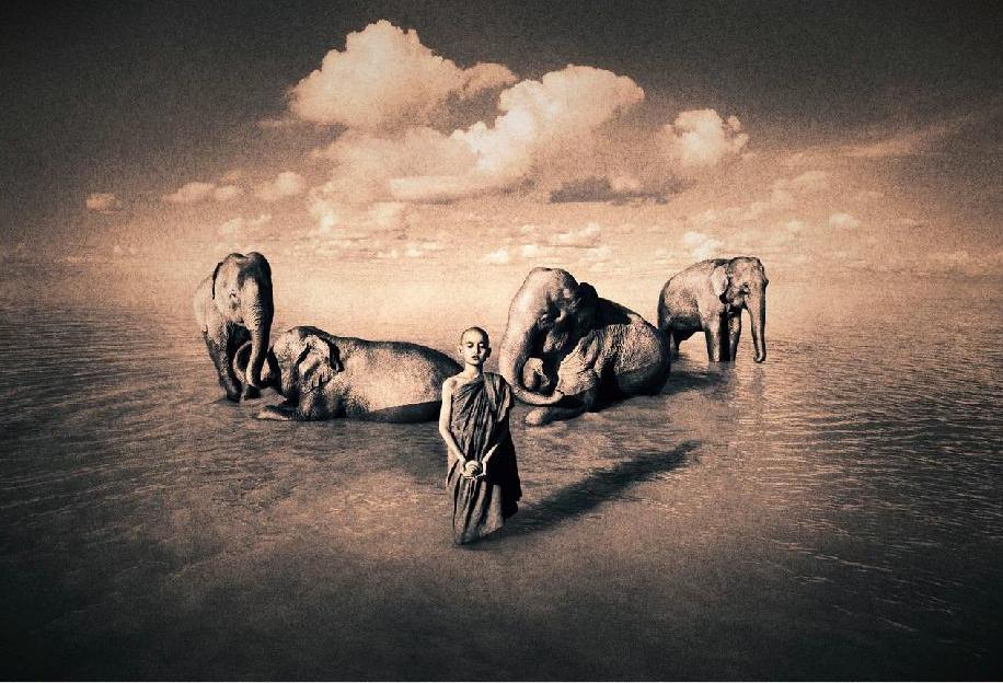 Gregory Colbert, 1960 ~ Canadian photographer | Tutt'Art@ | Pittura ...