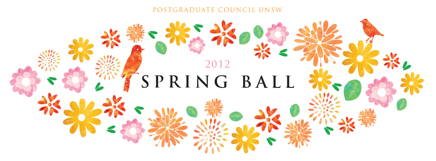 less is more: Campaign Design - Spring Ball
