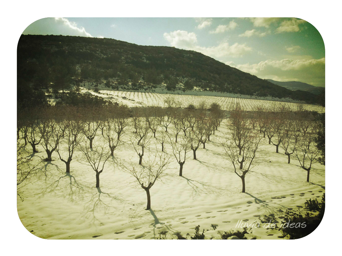 LLUVIA DE IDEAS: 2013