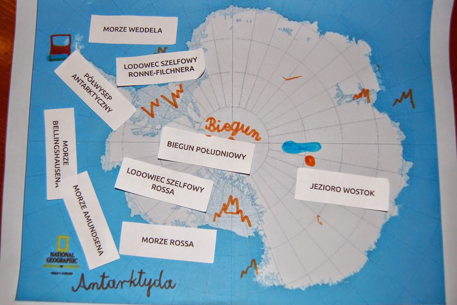 Gadziny: Warsztat # 6 - Antarktyda - fauna i flora