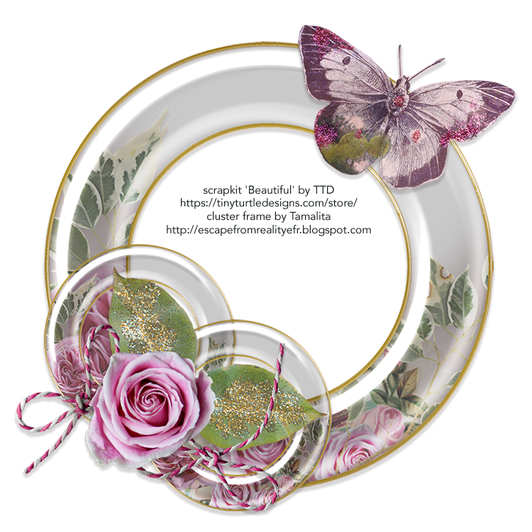 Escape From Reality Blog: FTU Cluster Frames 'Beautiful' TTD