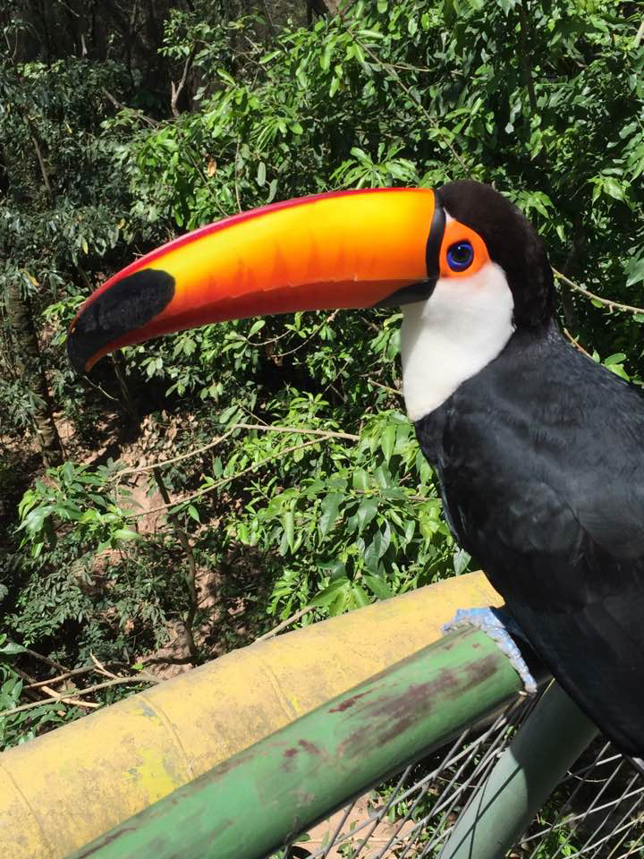 365 Days in Bolivia: February 8, 2017 - Mariposario Guembe