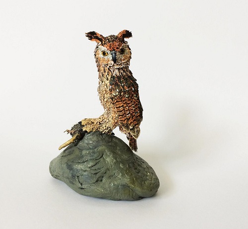 My Owl Barn: Wildlife Artist and a Conservationist Niharika Rajput