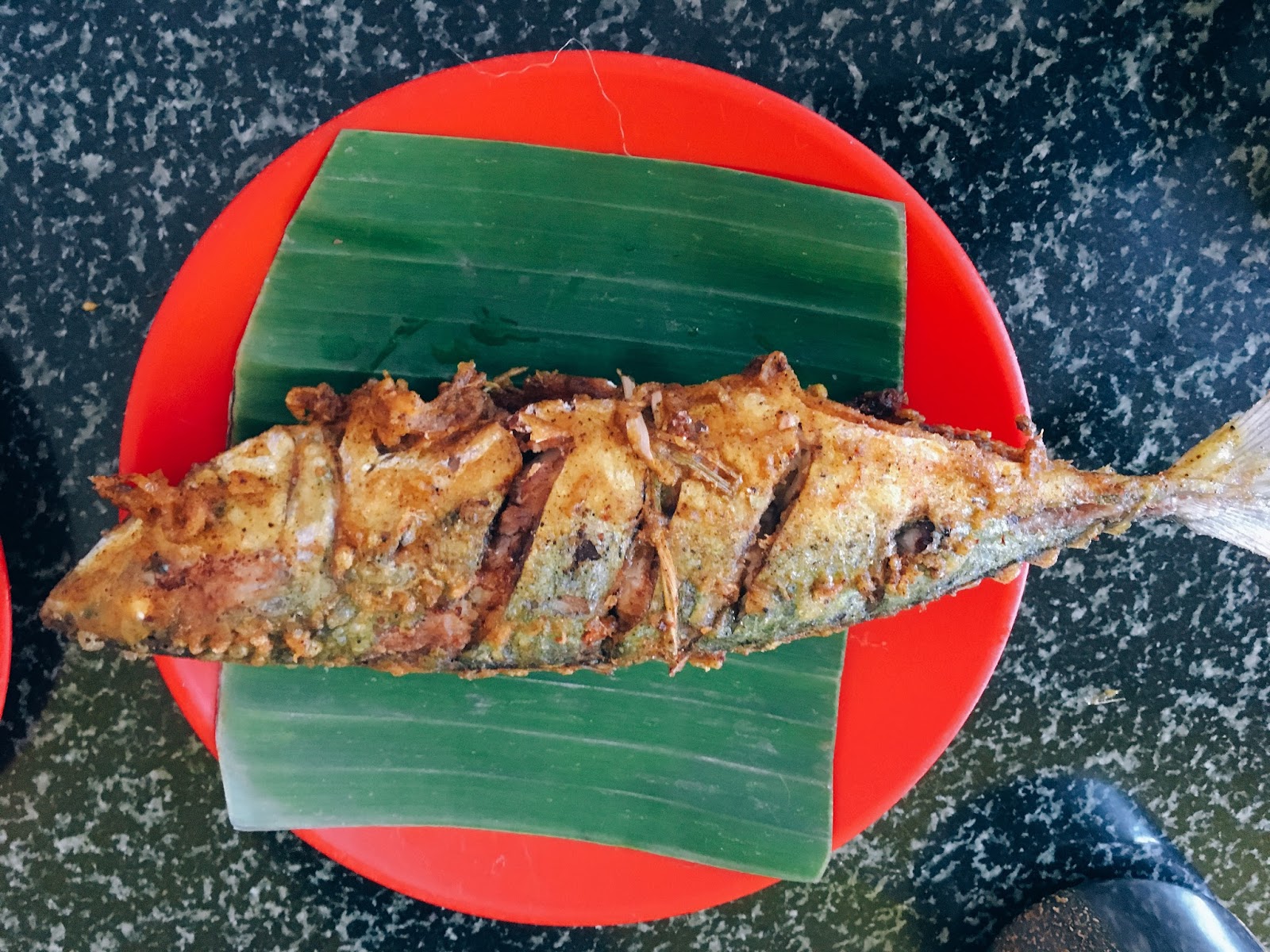 One Plate; Two Wheels: Top 5 must try Fish cuisines of Mangalore