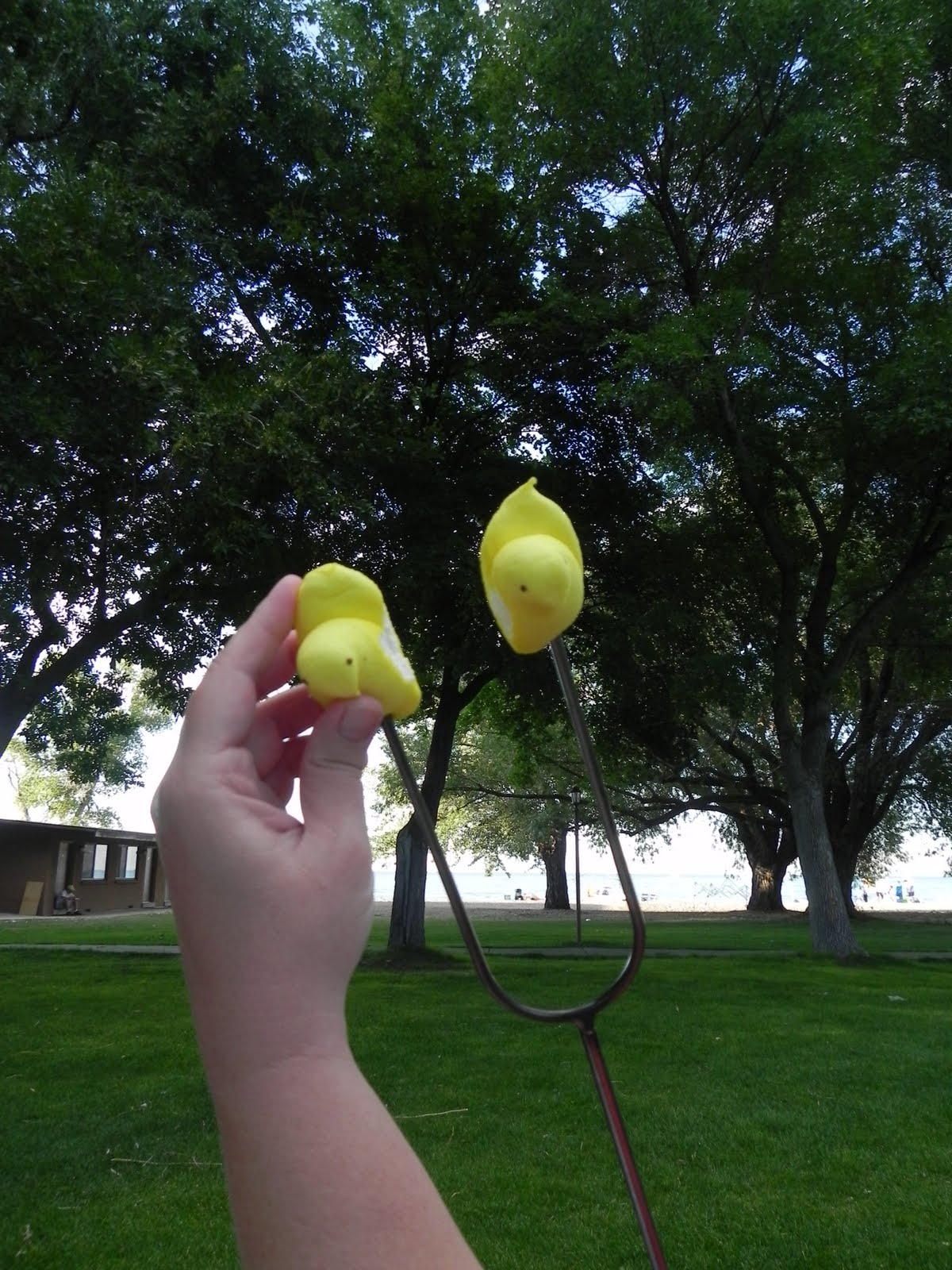 I Can Do This!: Roasted Peeps