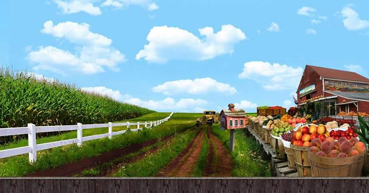 To Market, To Market with San Diego Foodstuff: Henry's Farmers Market ...