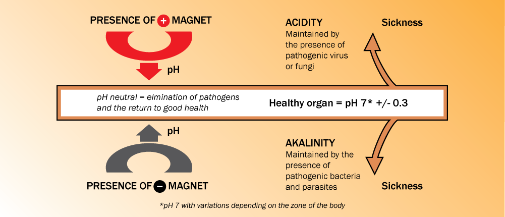 Biomagnetism USA™: What is a Biomagnetic Pair