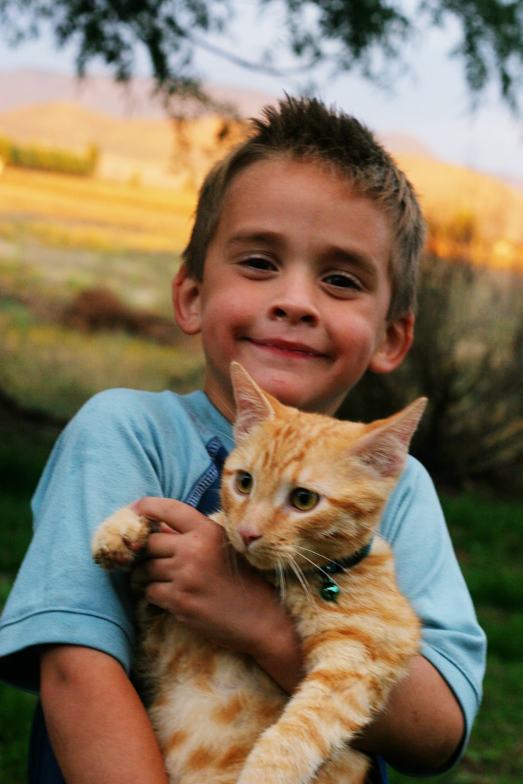 The Nelson Family Blog