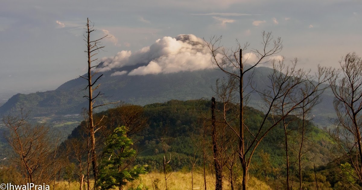 GUMUK, PUTHUK ATAU GUNUNG