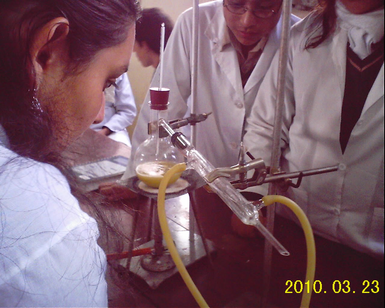 LABORATORIO DE BIOLOGIA QUIMICA Y CIENCIAS NATURALES: RECUERDITOS DEL LABORATORIO