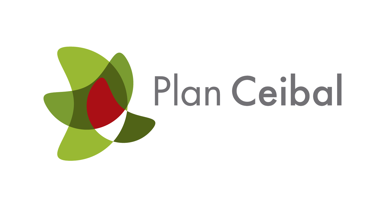 Lazos : Tercero, cuarto y quinto año