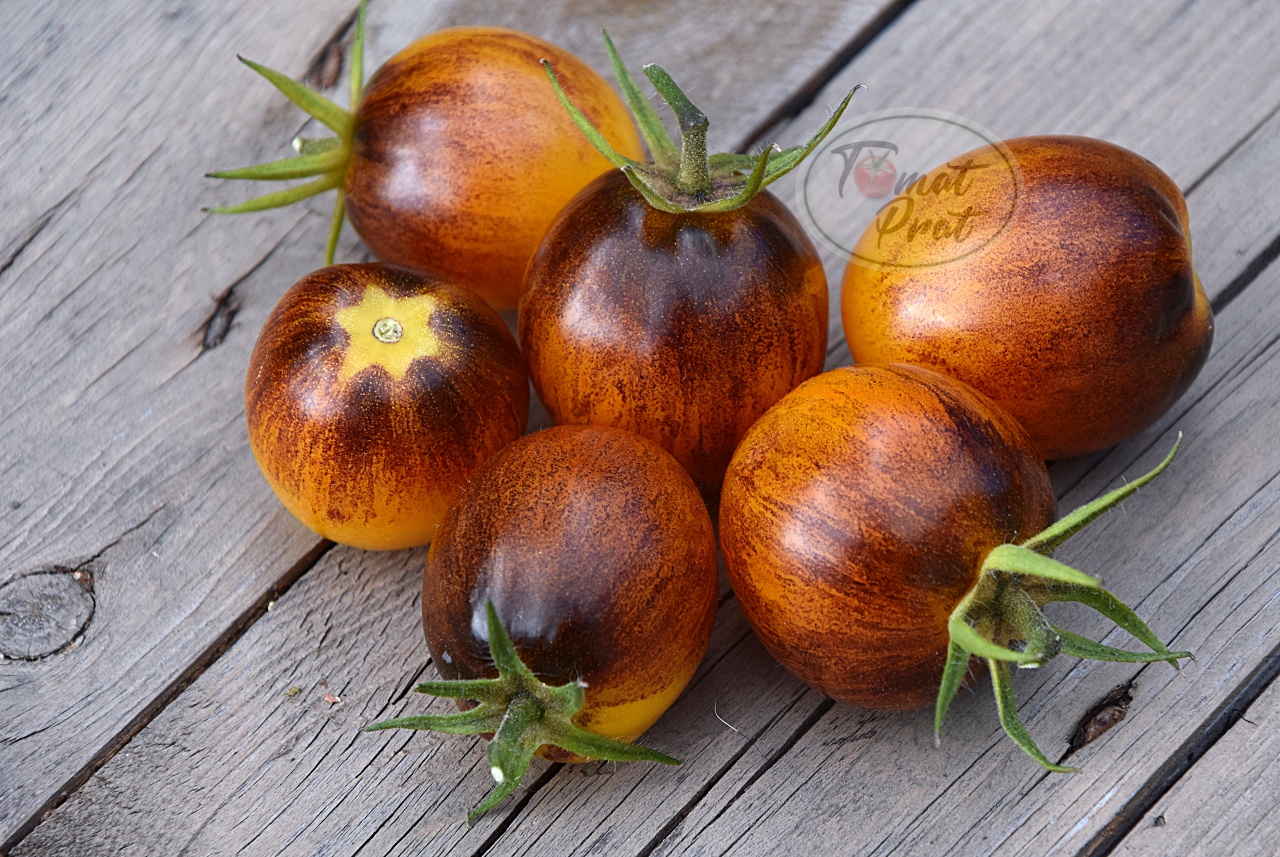 Helenes Tomater: Atomic Sunset