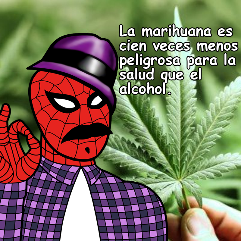 Confirmado: La marihuana es cien veces menos peligrosa para la salud ...
