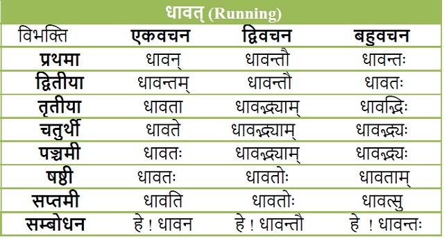 Dhavat shabd roop in Sanskrit