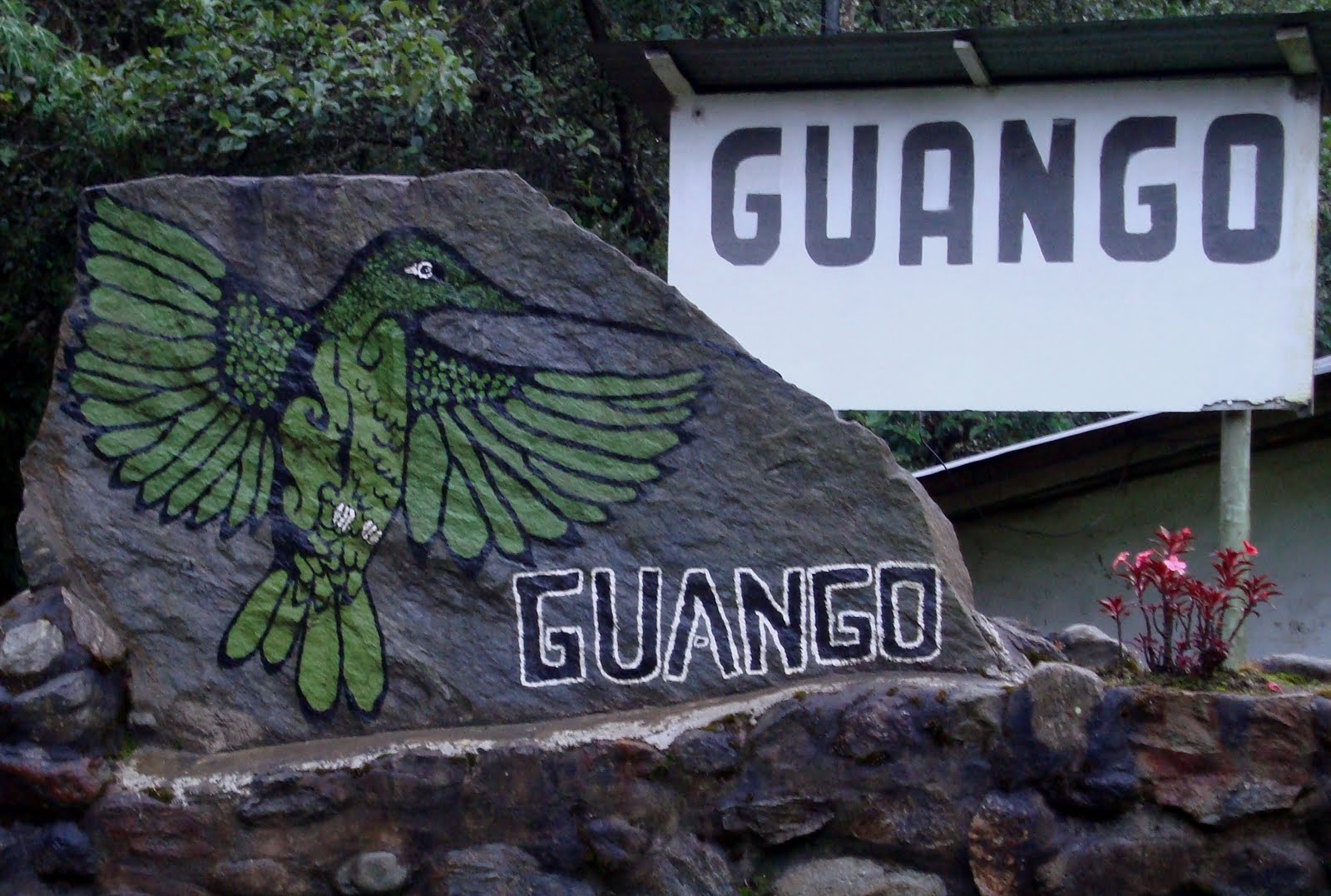 SUMMER OF HUMMERS: Guango Lodge - June 21-23