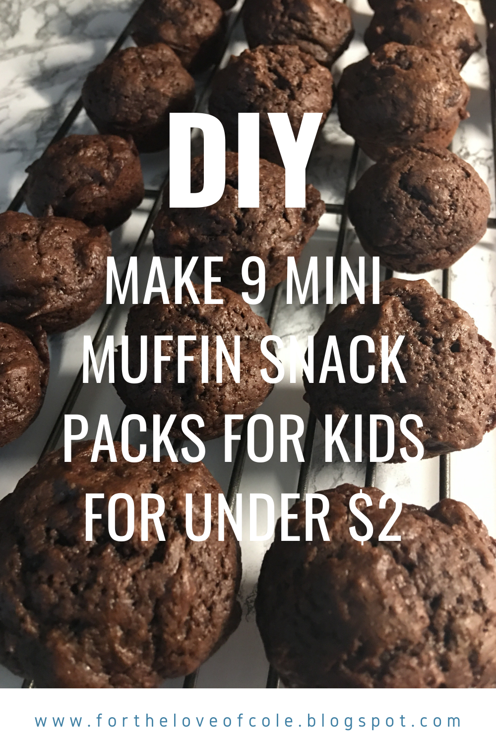 Make Your Own Mini Muffin Snack Packs for under $2