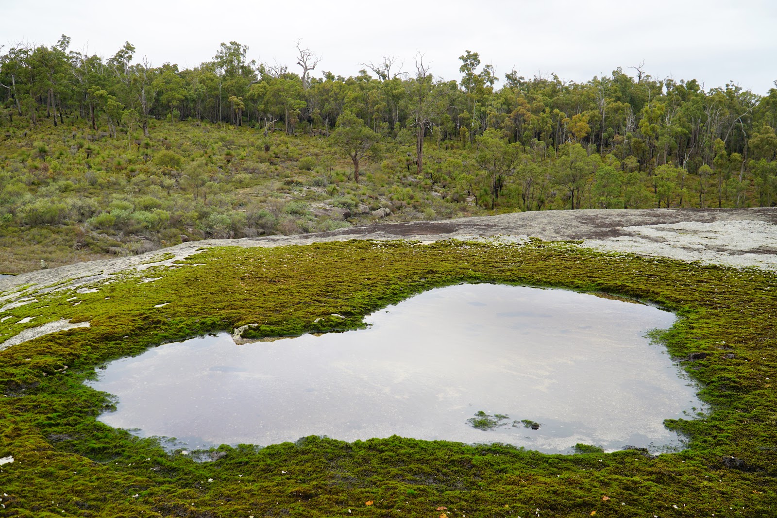 Abyssinia Rock Walk GPS Route (Jarrahdale State Forest) ~ The Long Way ...