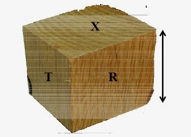 Kayu | ab architects