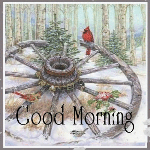 Reflections from Bon Bon Pond: Have a Great Sunday