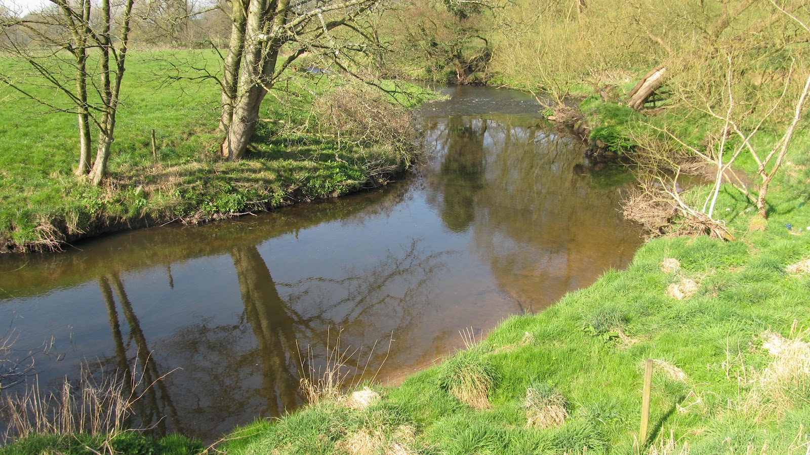 Pat Regan: Early Season Dry Fly on Lancashire's River Yarrow