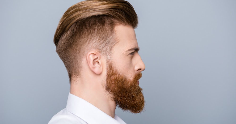 Beared - 50 Interesting facts - FactoPedia Universe