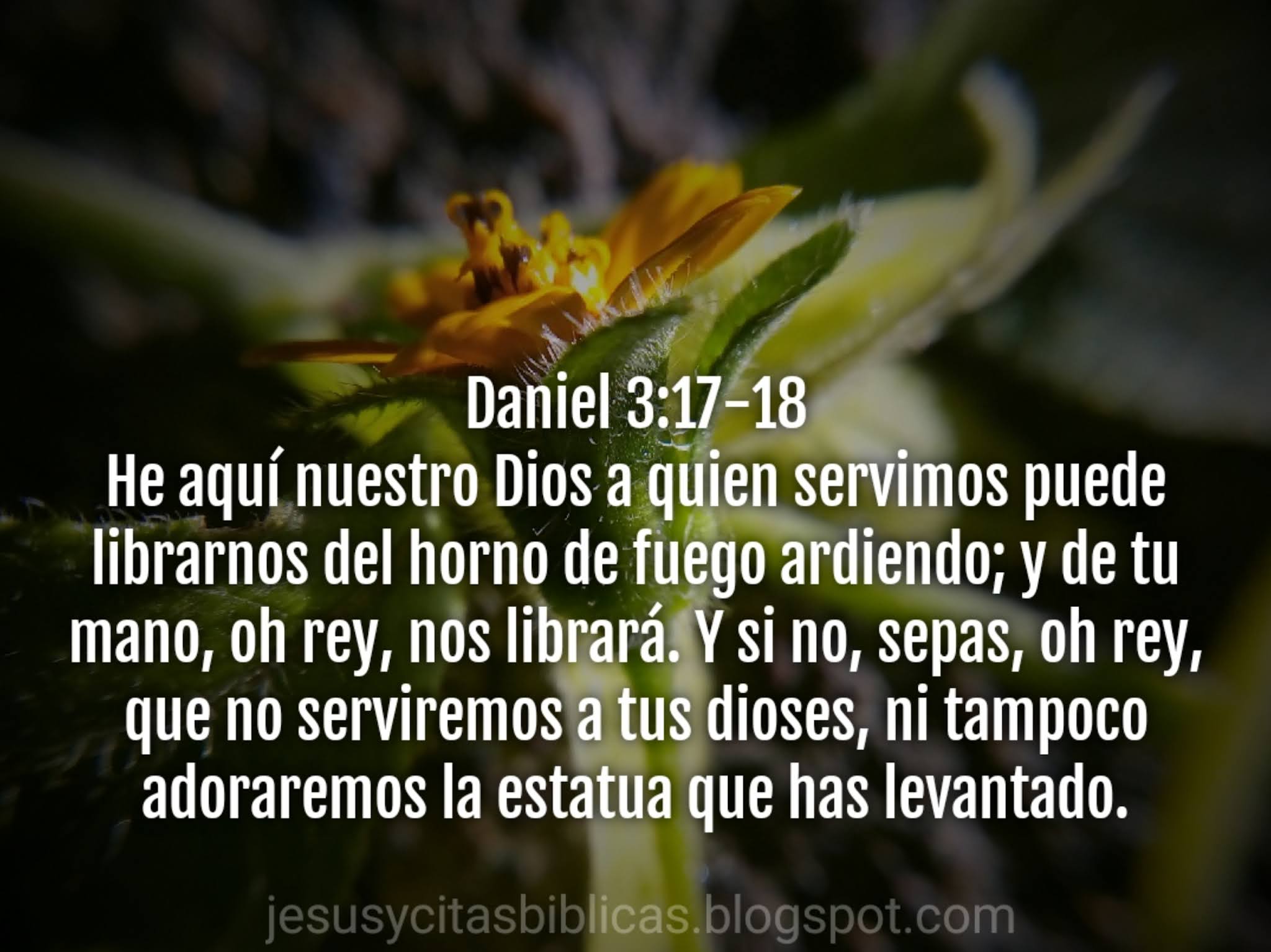 Jesús Y Citas Bíblicas