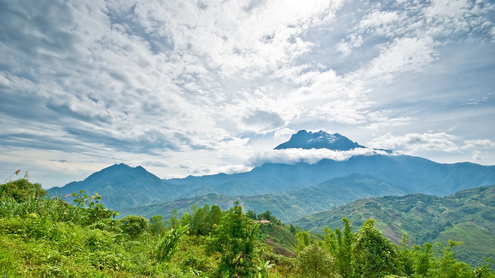 Real Monstrosities: Giant Red Leech