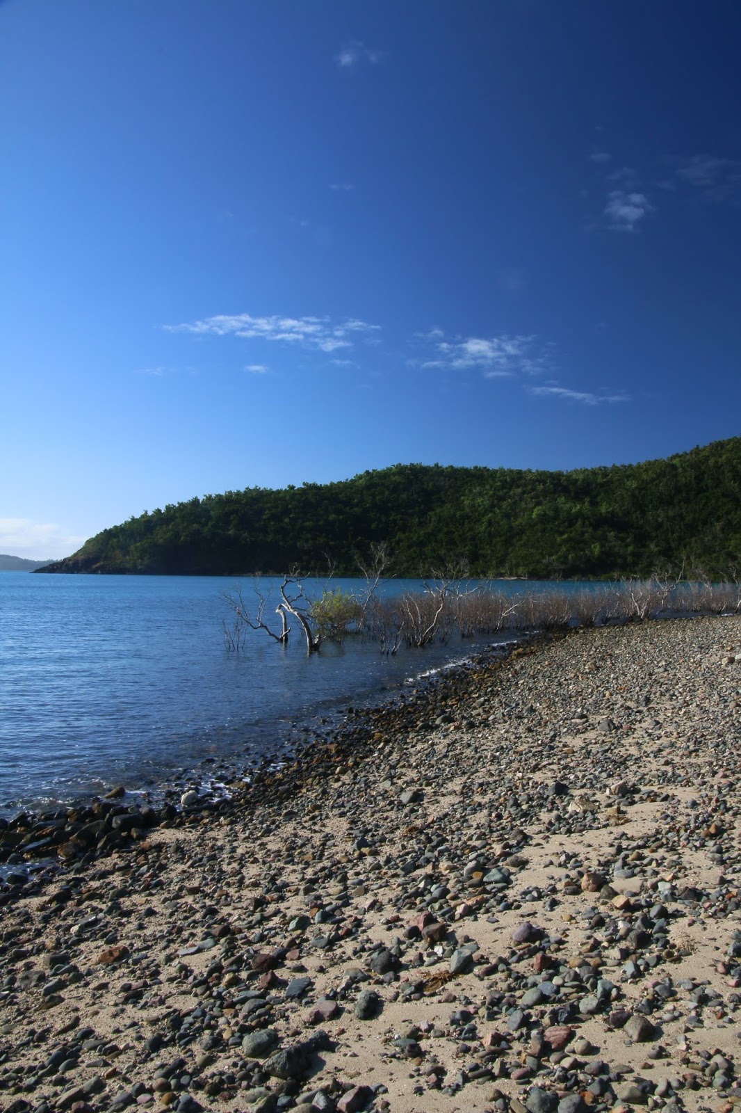 OurTripDreaming: Swamp Bay and Mt Rooper, Conway National Park