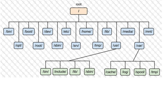 Study of Linux File System and Basic Commands ~ Computer Science Subjects