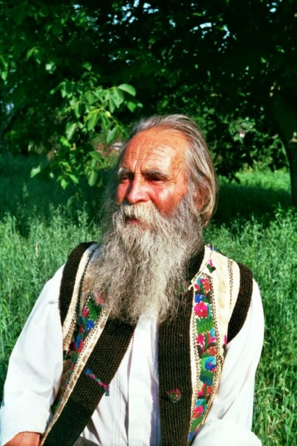 Lecturi școlare : BUNICUL