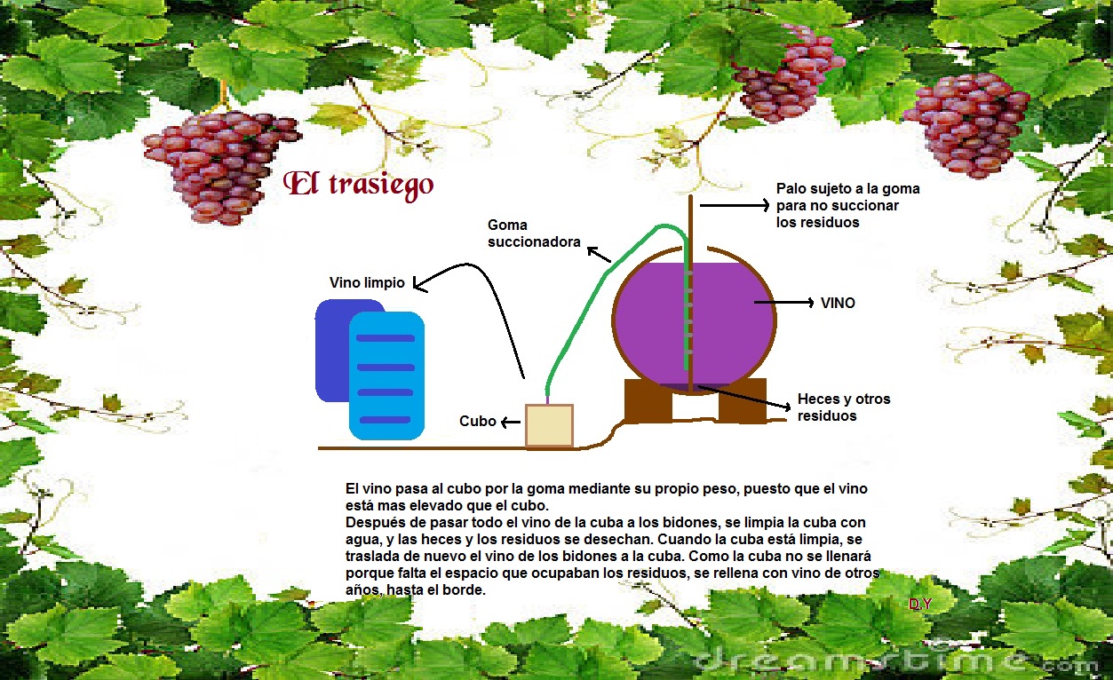 Over the Wine: PRODUCCIÓN DEL VINO - TRASIEGO