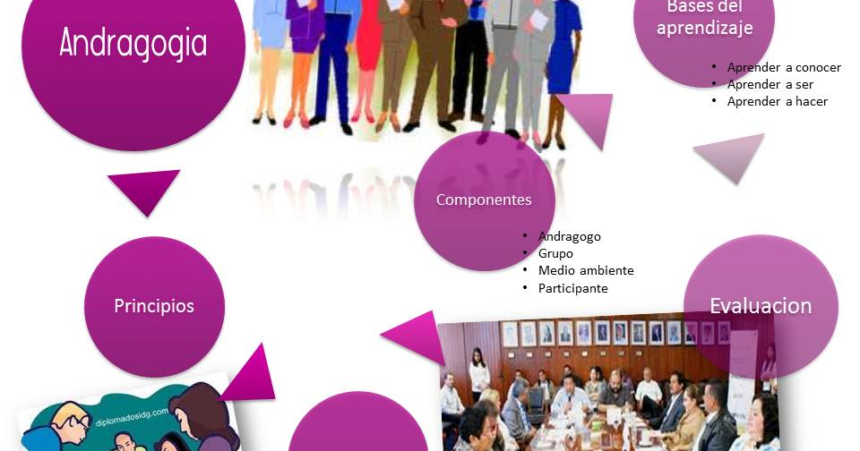 Docencia Universitaria: Fundamentos de la Andragogia