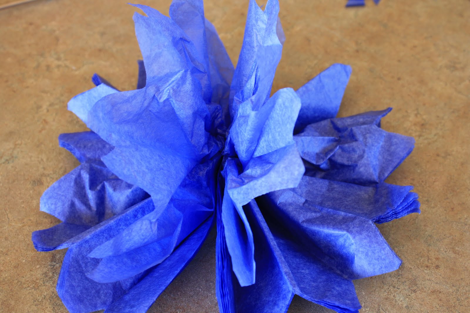 Bloom In Color: Tissue Paper Balls