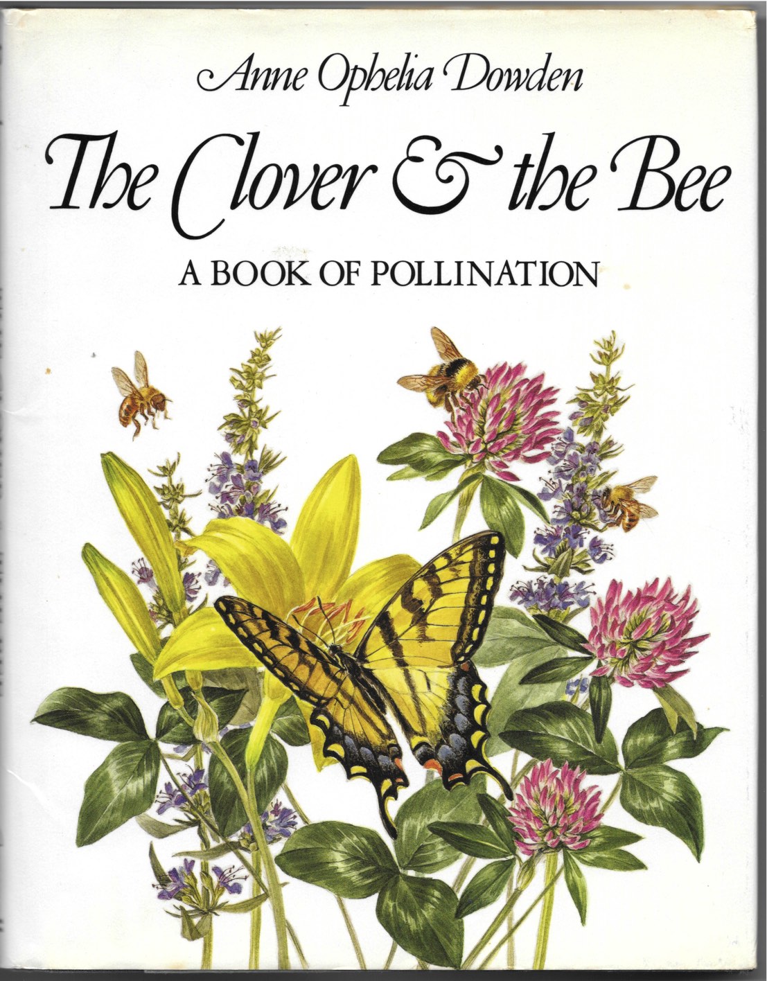The Herb Grower: THE CLOVER AND THE BEE, A BOOK OF POLLINATION