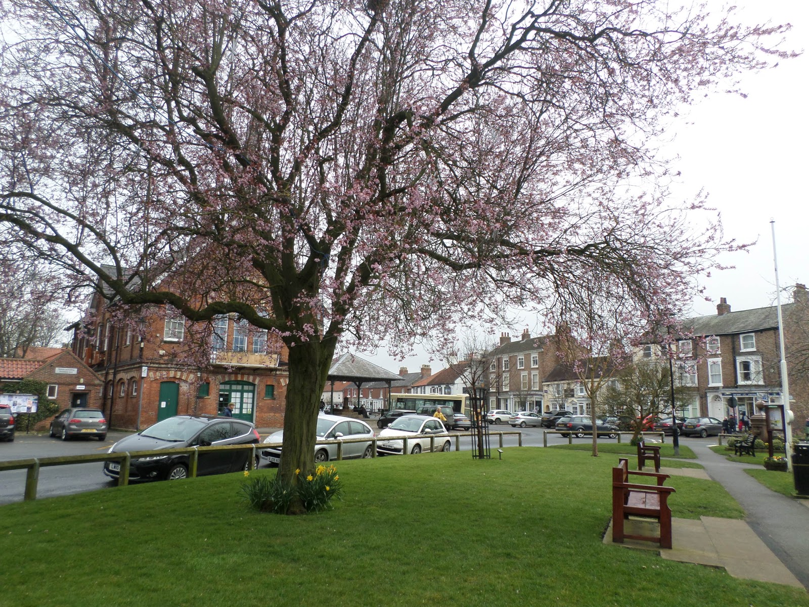 Shelley's House: Easingwold - Part II