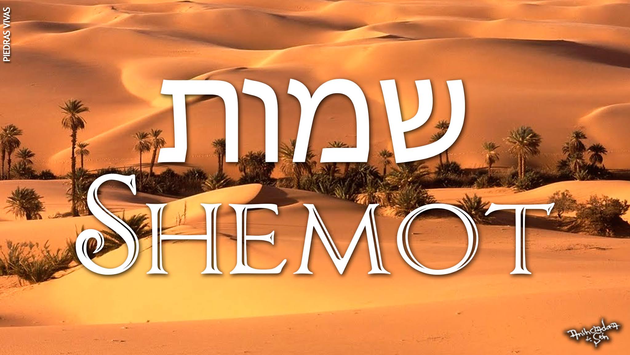 PIEDRAS VIVAS: CLE02