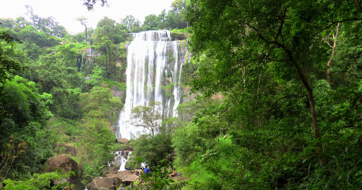 Trekking Through the Peechi-Vazhani Wildlife Sanctuary, Kerala ~ Vinod ...