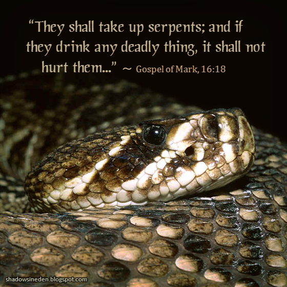 Shadows in Eden: September 2014