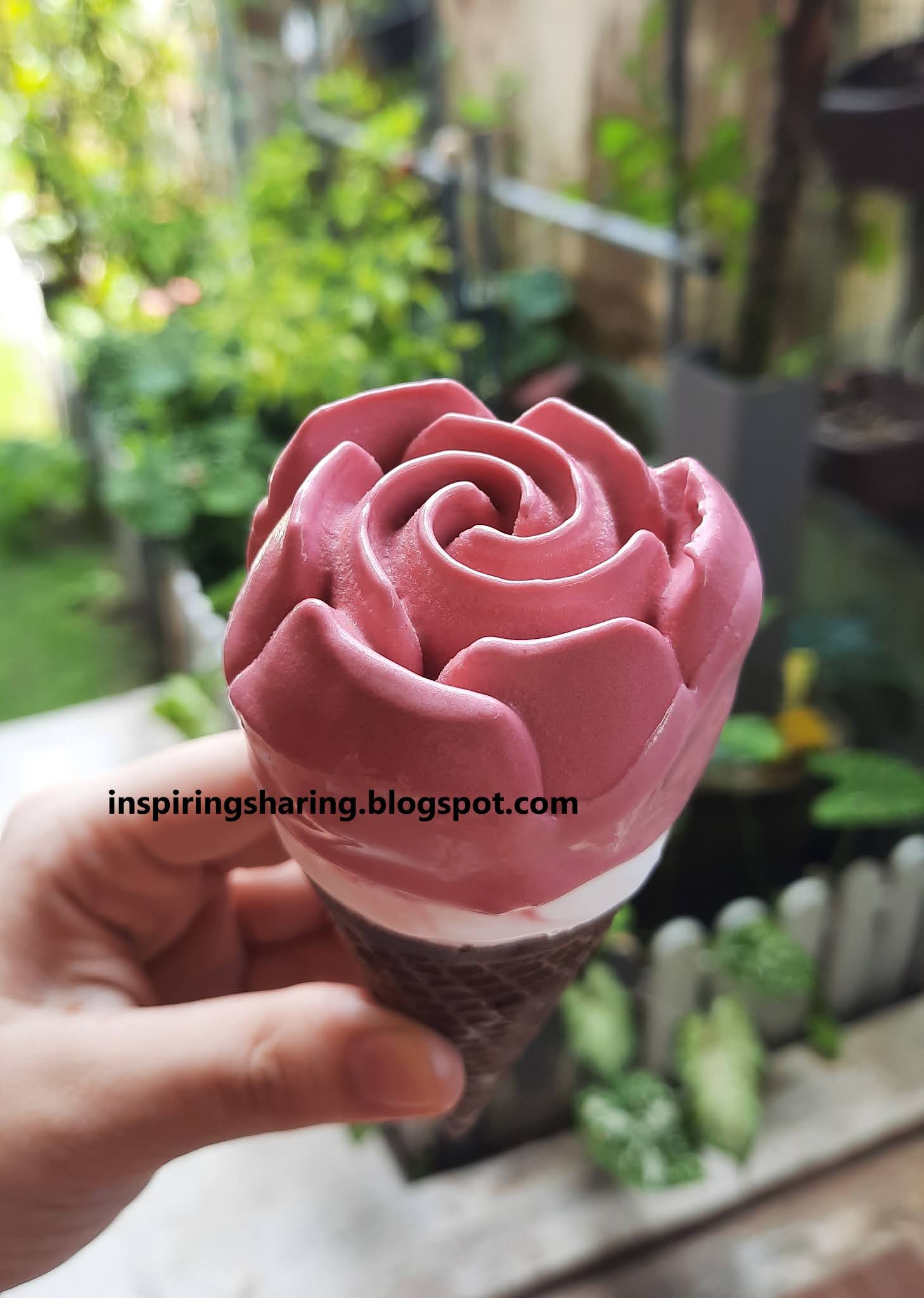 Trying Cornetto Love Rose Peach Flavoured Ice Cream