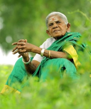 Saalumarada Thimmakka - The Mother to More Than 8000 Trees - तरुमहिमन्