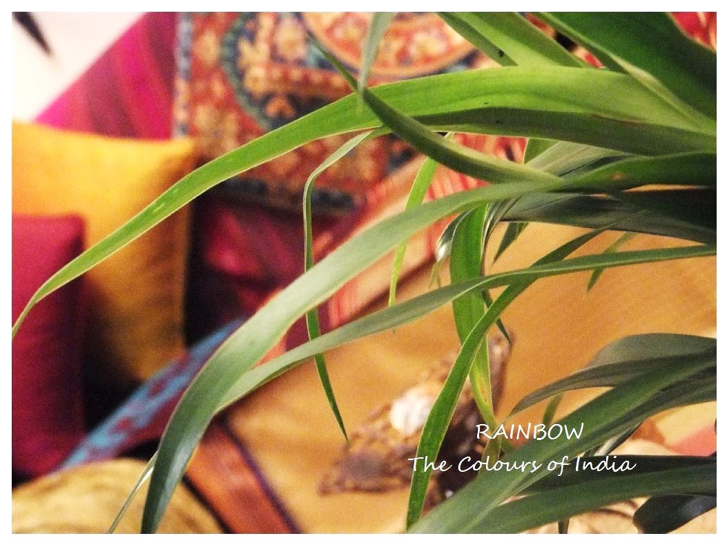 RAINBOW - The Colours of India: May 2012