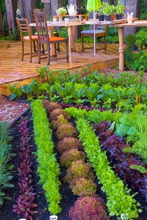 Herb Garden