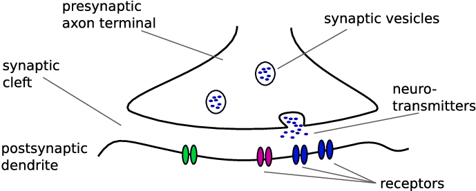BCI Vocabulary Reference
