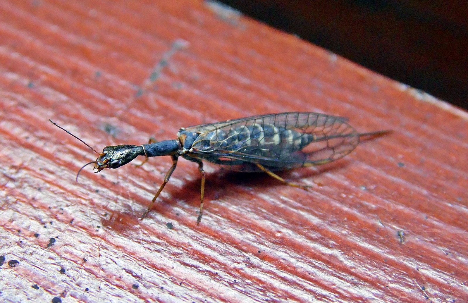 Random Jottings: July 2015