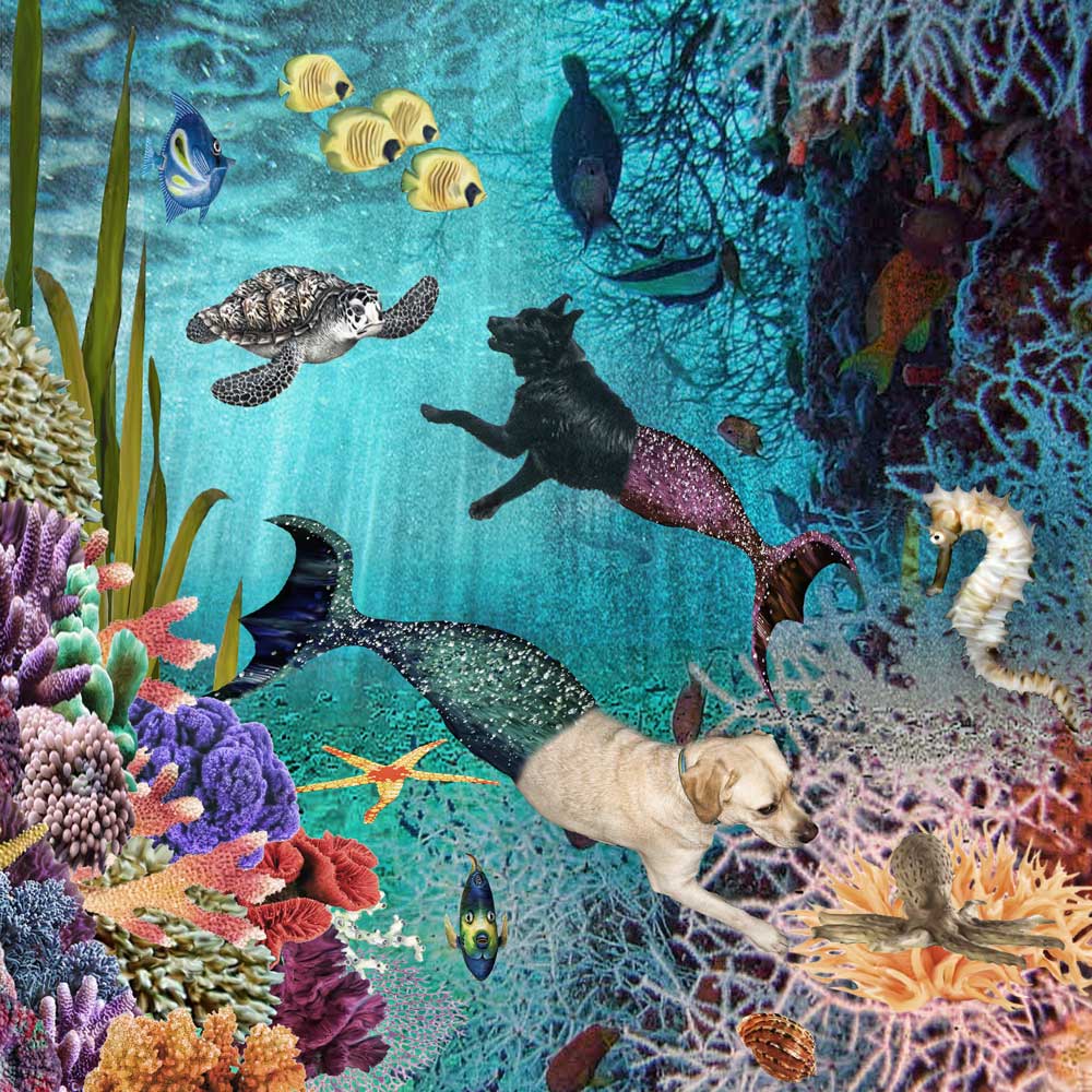 Cooper's Corner: coral reef kit by by Axi and Nanet design
