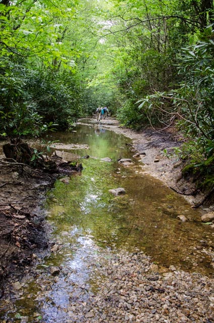 SAPS-NCGA: Panthertown Valley hike with Dan Pittillo