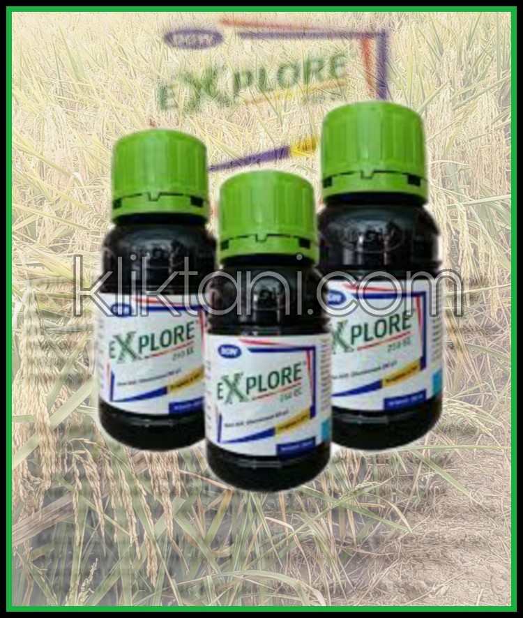 Fungisida Explore 250 EC, Obat jamur plus ZPT berkualitas - kliktani.com