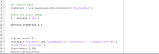 eyes detection in matlab step by step explanation with source code