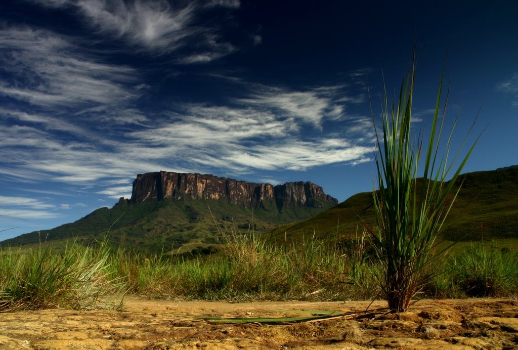L'angolo della Geologia: Tepuy
