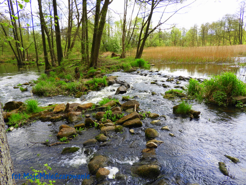 Wiosenna rzeka Grabia w Ldzaniu woj. łódzkie - Moje Małe Czarowanie ...